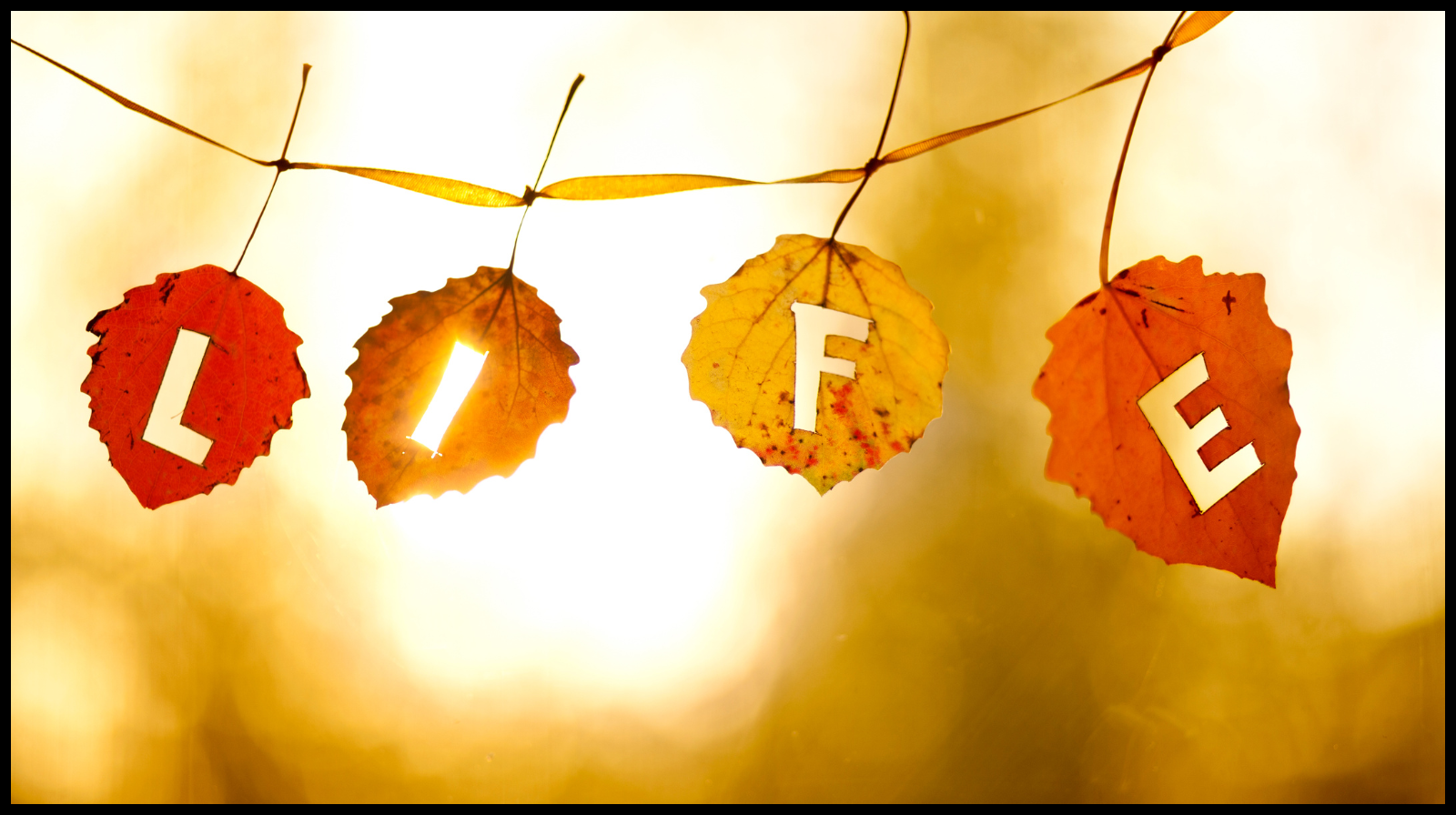 My Story – Om Pant | Journey of Learning